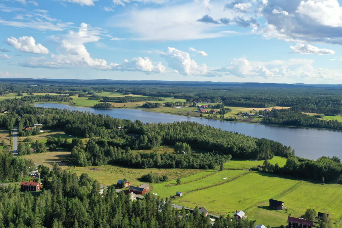 Vinnare korade i SM i nedbrytning