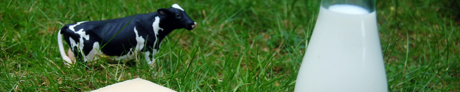 Dairy Matrix - Lantbrukarnas Riksförbund